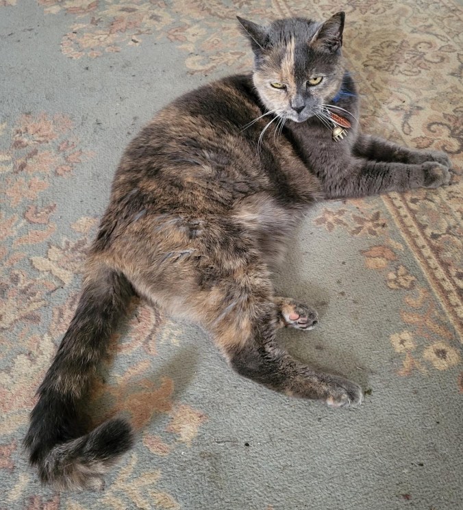 My Last night in Egypt | The Bucks Underground Railroad